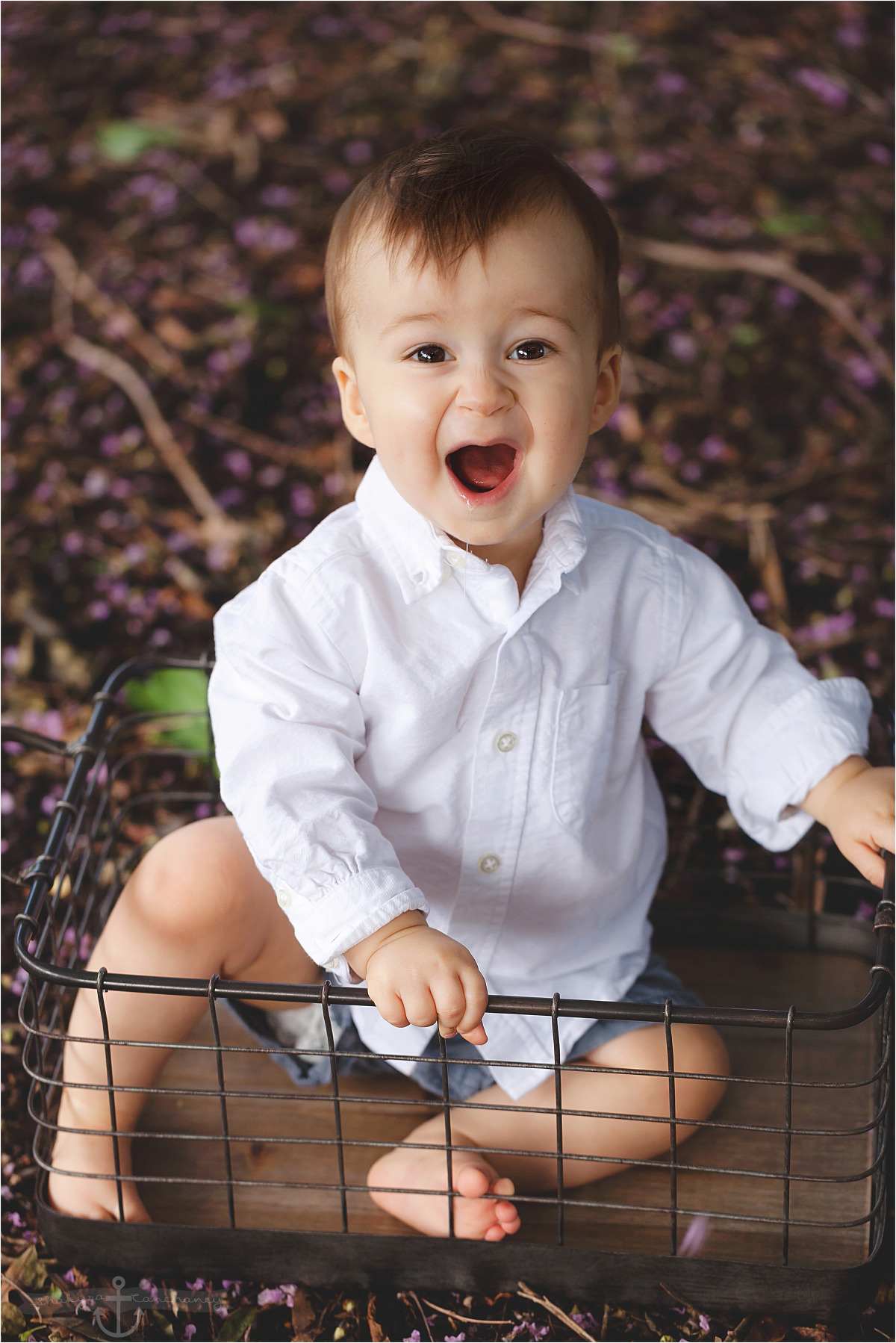 Little H is ONE | Virginia Beach Children Photographer - Shakyra ...